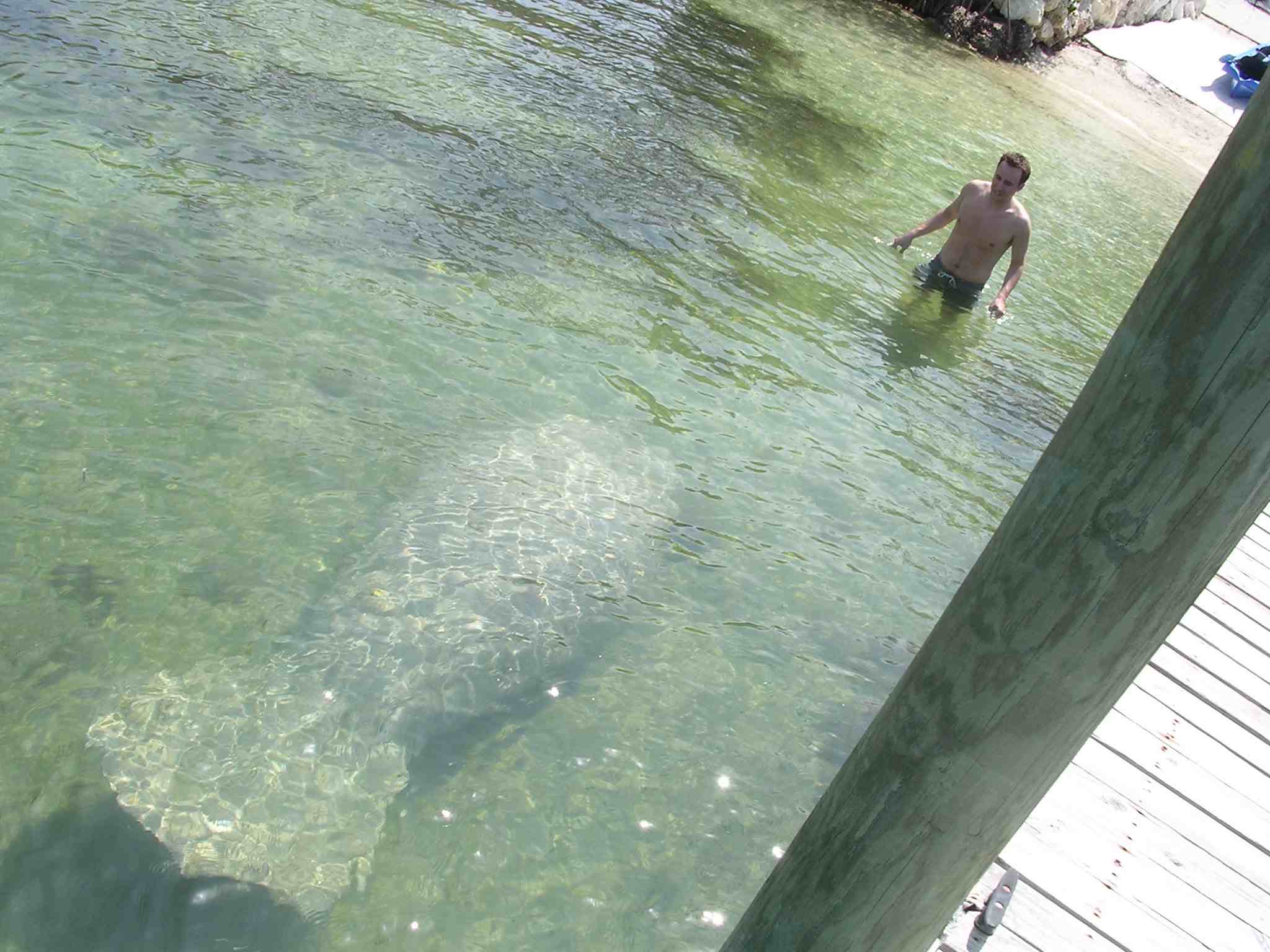 Roger Stanton Images – Roger Stanton